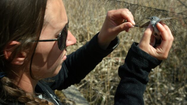 Long Point - Canadian Biosphere Regions Association