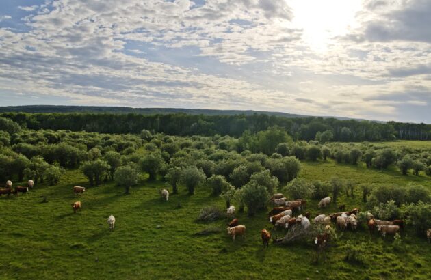 Discover Canada's Biosphere Regions - Canadian Biosphere Regions ...